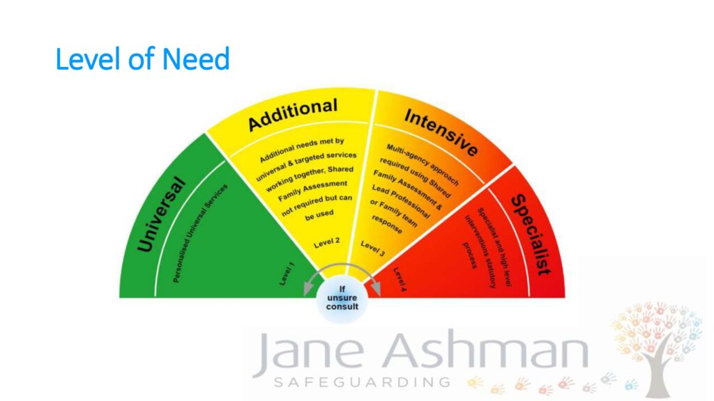 Level of Need - 3. Level of Need Dashboard - Jane Ashman Safeguarding